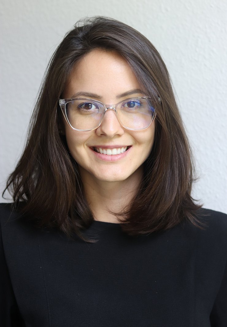 Global Value Chains: Supply and demand reactions to human rights violations