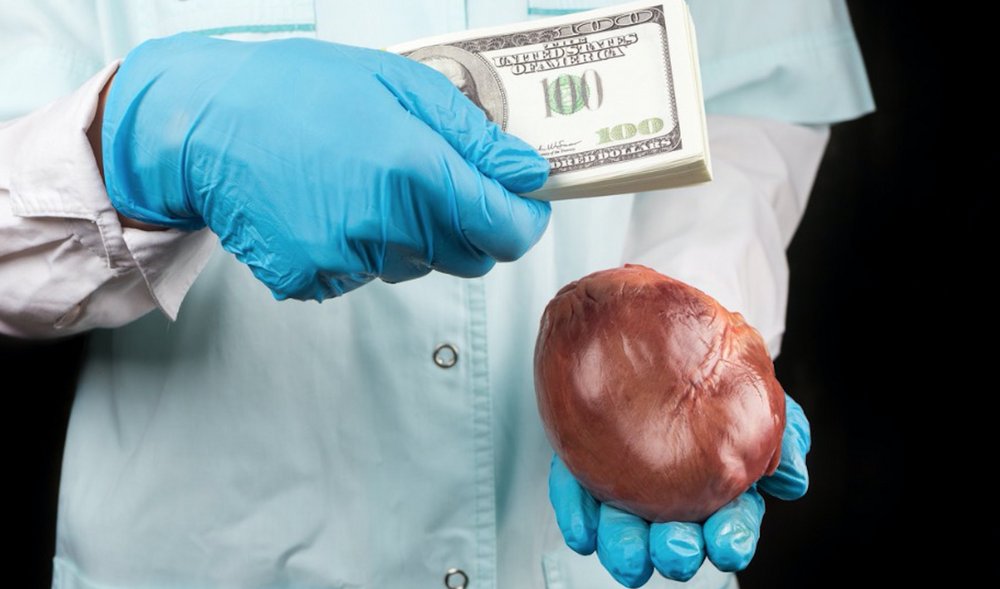 Bulletin Special Series: Through the Lens - Episode #3 - International ...